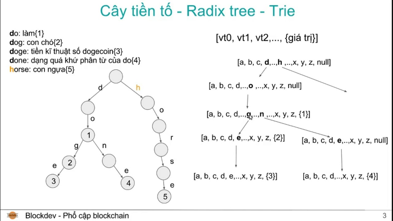 Ethereum là gì? Phần 3: Ethereum patricia tree -blockdev- - YouTube