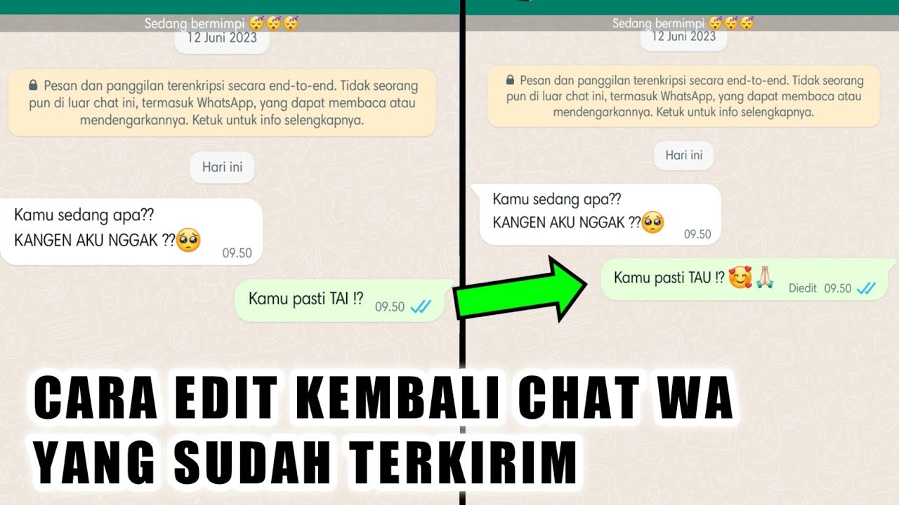 Cara edit kembali chat yang telah terkirim di whatsapp - YouTube