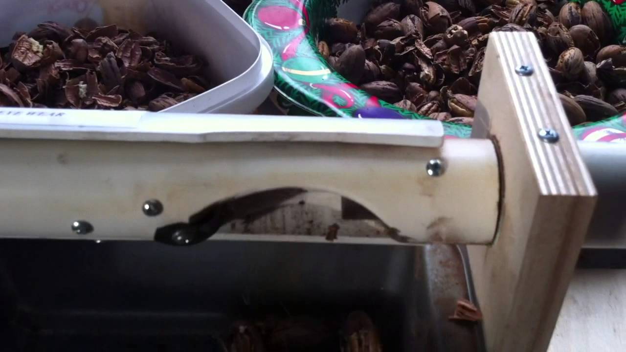 pecans cracking at home - YouTube