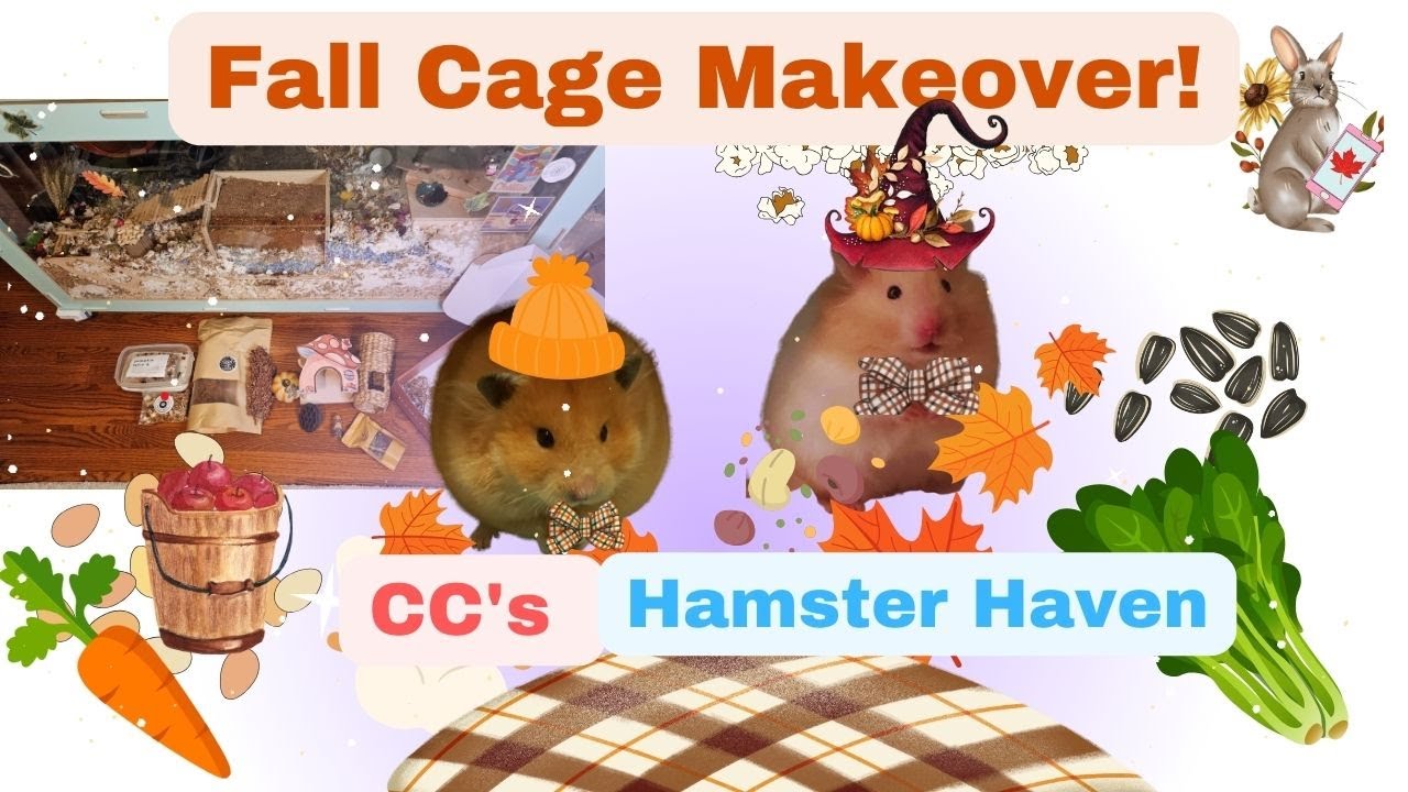 Hamster Cage Makeover Fall 2023 - YouTube