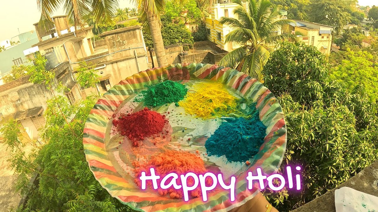 holi vlog/ how today I spend my holi/ special lunch menu/ fried rice in ...