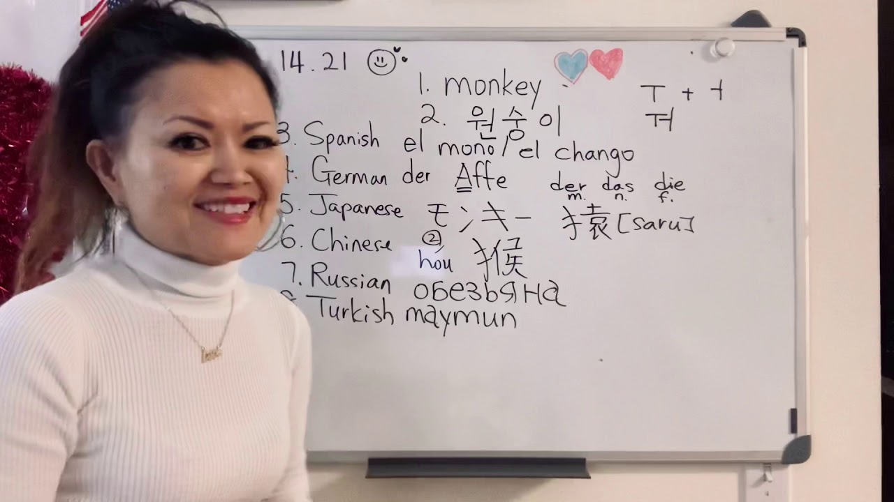 (Word 4- Animals) “원숭이 를 외국어로~🐒🐵How do you say "monkey" in different ...