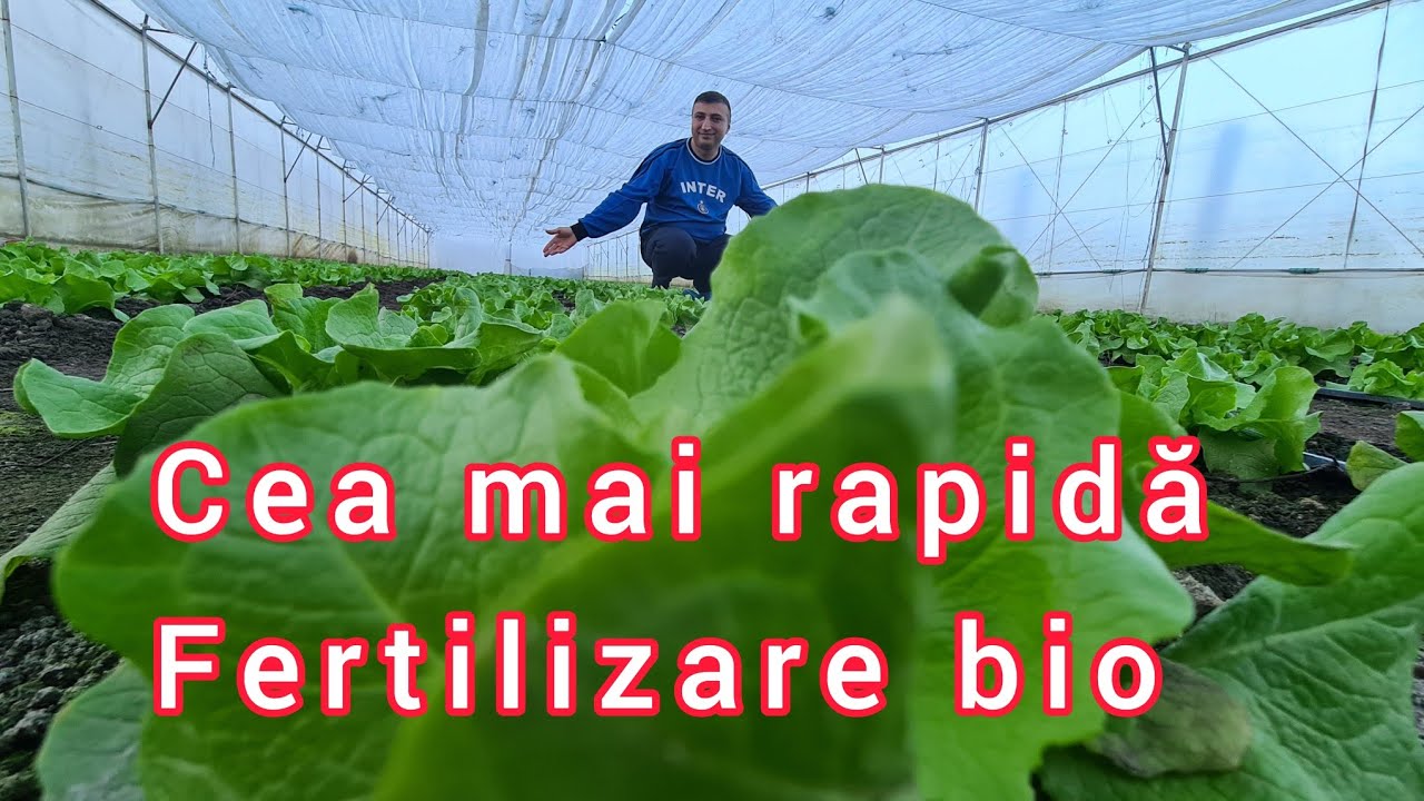 Cum se face cea mai rapida fertilizare la culturi - YouTube