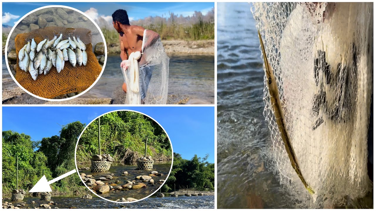 Net fishing in Mangnang village East Siang Pasighat // Net fishing ...
