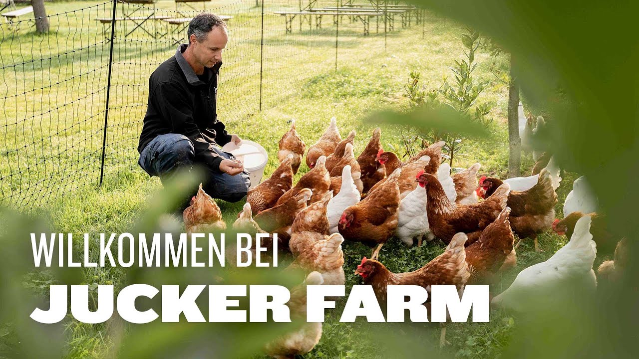 Willkommen bei Jucker Farm - YouTube
