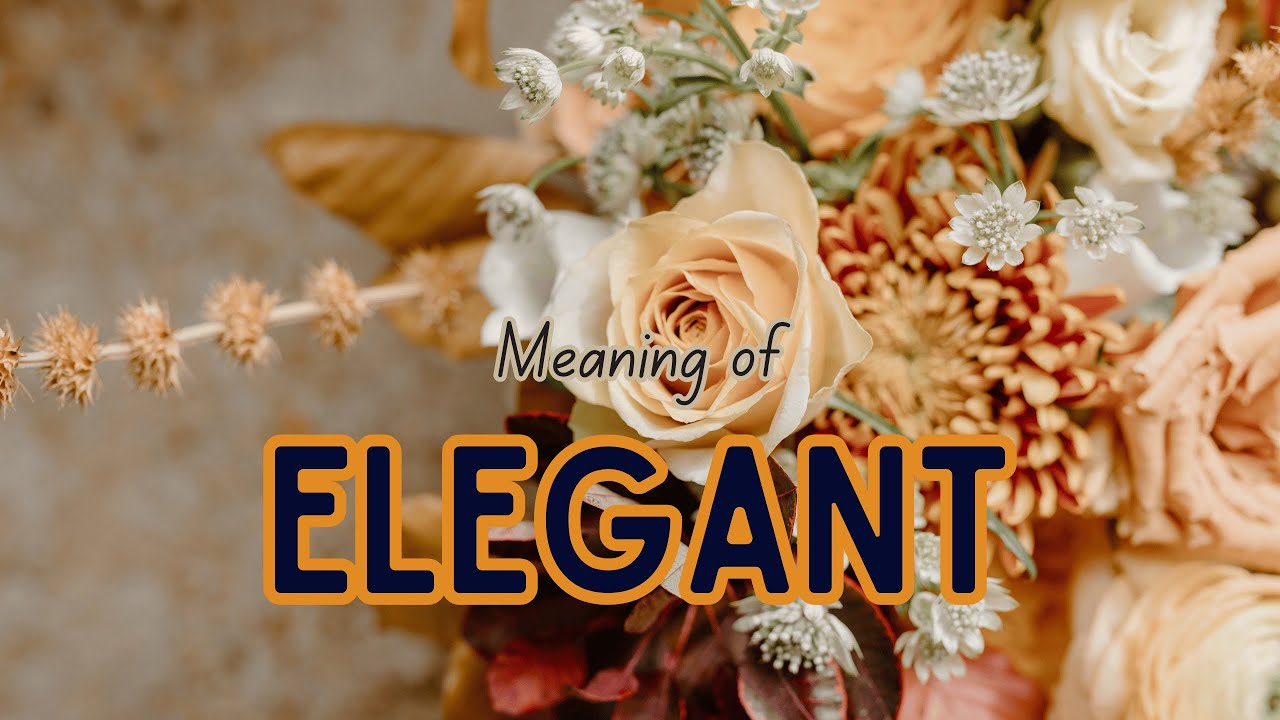 What is the meaning of Elegant? - YouTube