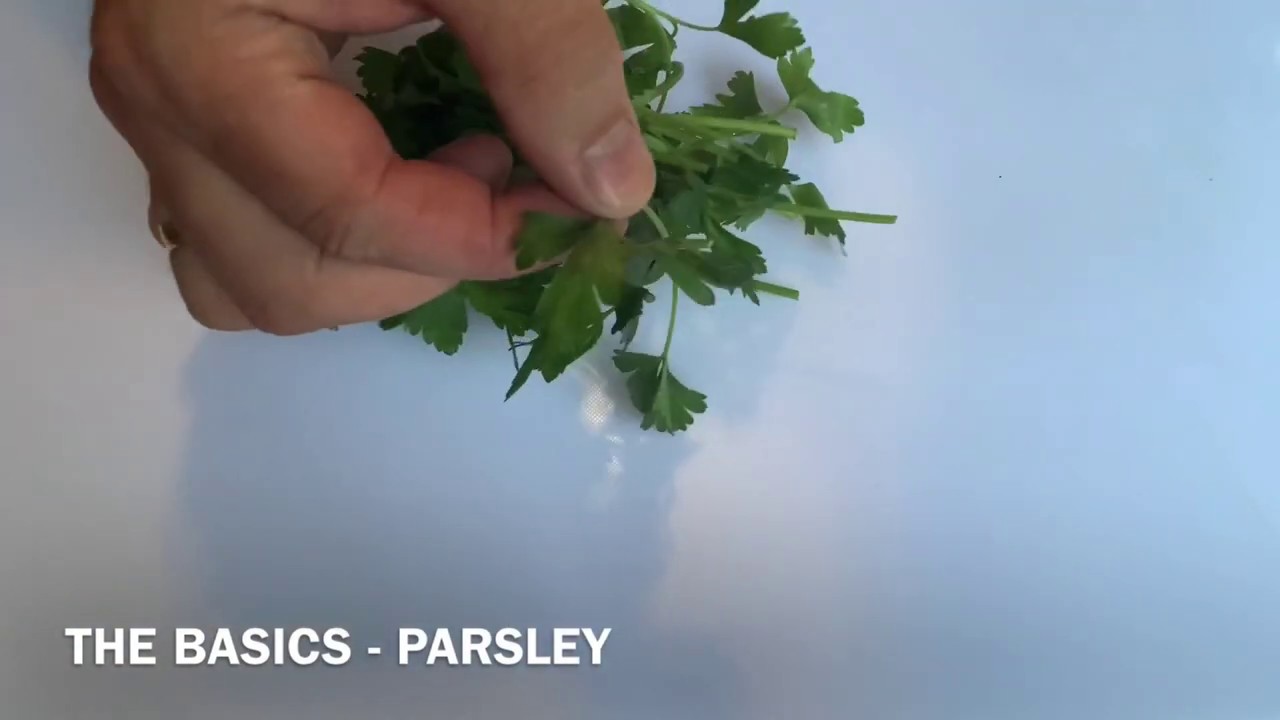 The Basics- Parsley - YouTube