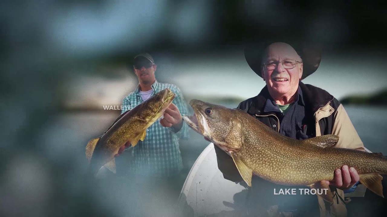 Molson Lake Lodge - YouTube