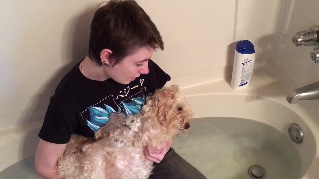 Baptizing My Dog - YouTube