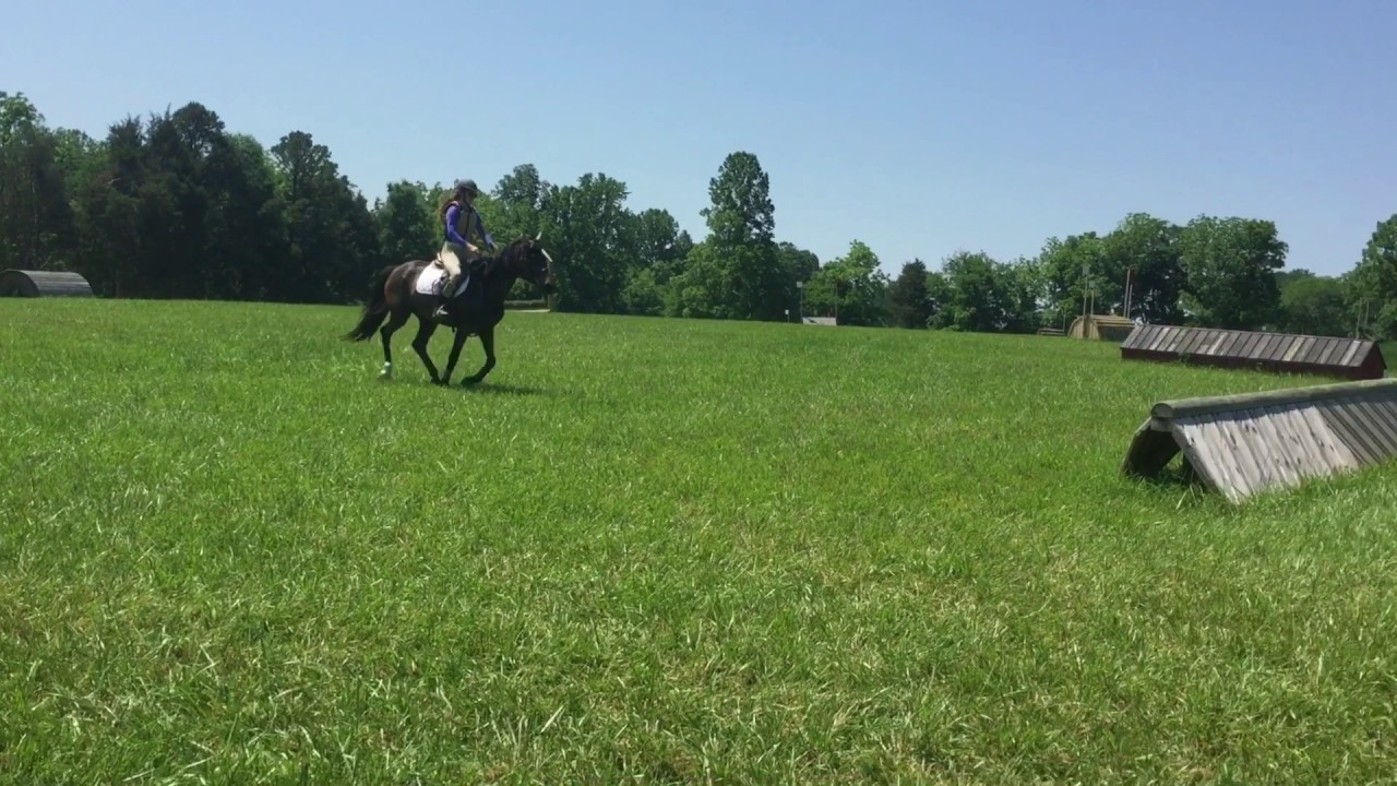 Shea cross country schooling - YouTube