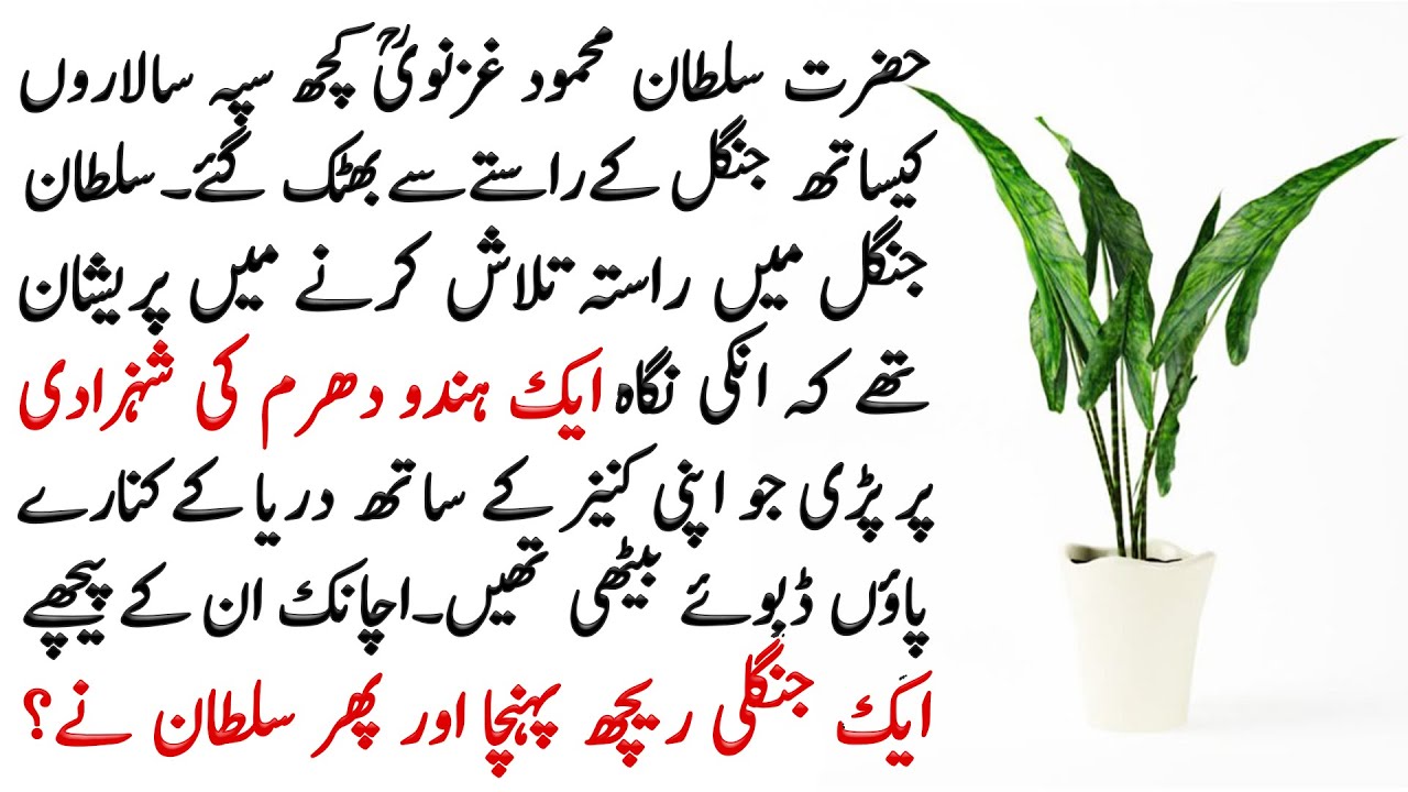 Best Urdu Moral Story Hindu Shahzadi Aor Sultan Sabaq Amoz Kahani