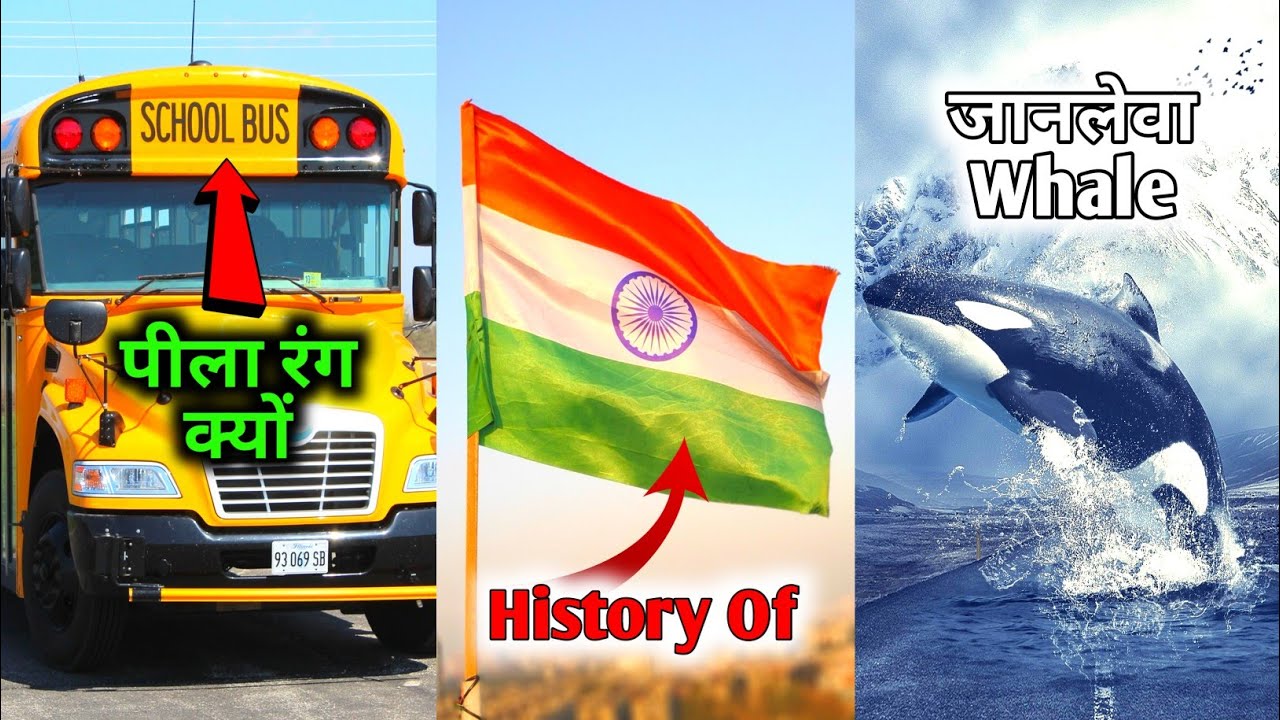 Bus Ka Rang Pila Kyun Hota Hai, History Of Indian Flag And Killer Whale ...