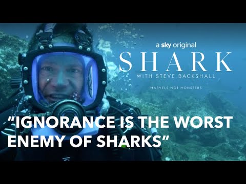 The Invisible Threat to Sharks Species | Shark with Steve Backshall ...