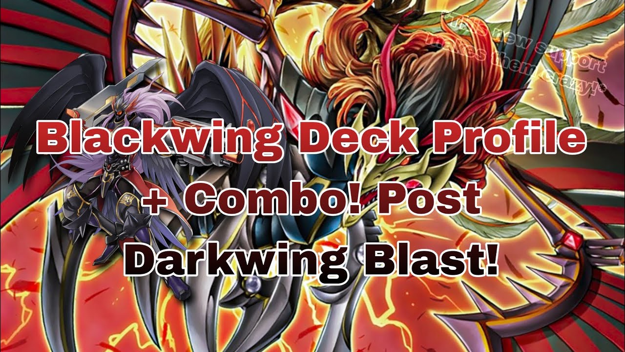 [Yu-Gi-Oh!] *THE NEW SUPPORT IS AMAZING!* Blackwing Deck Profile+Combo ...