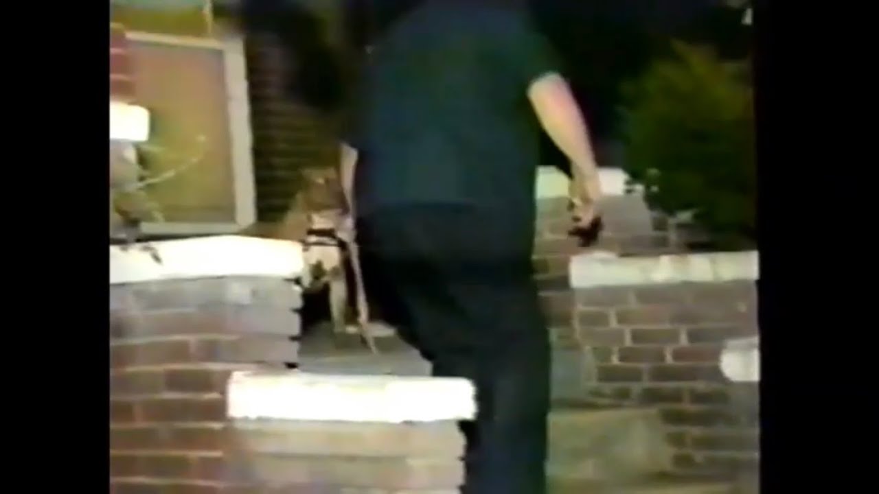 Murder Of Angela Kaplan - YouTube