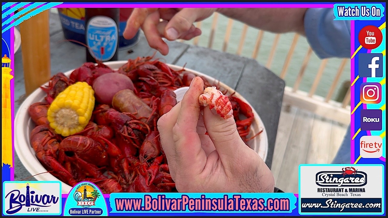 Stingaree Serving Up Crawlfish Saturday With Crawfish Hideaway On The ...