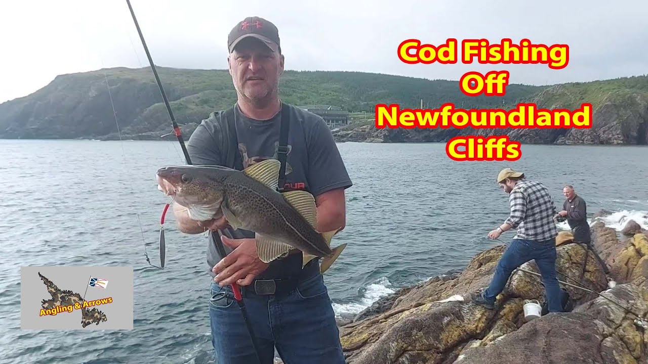 FISHING FOR COD FISH... from cliffs around St. John's Newfoundland ...