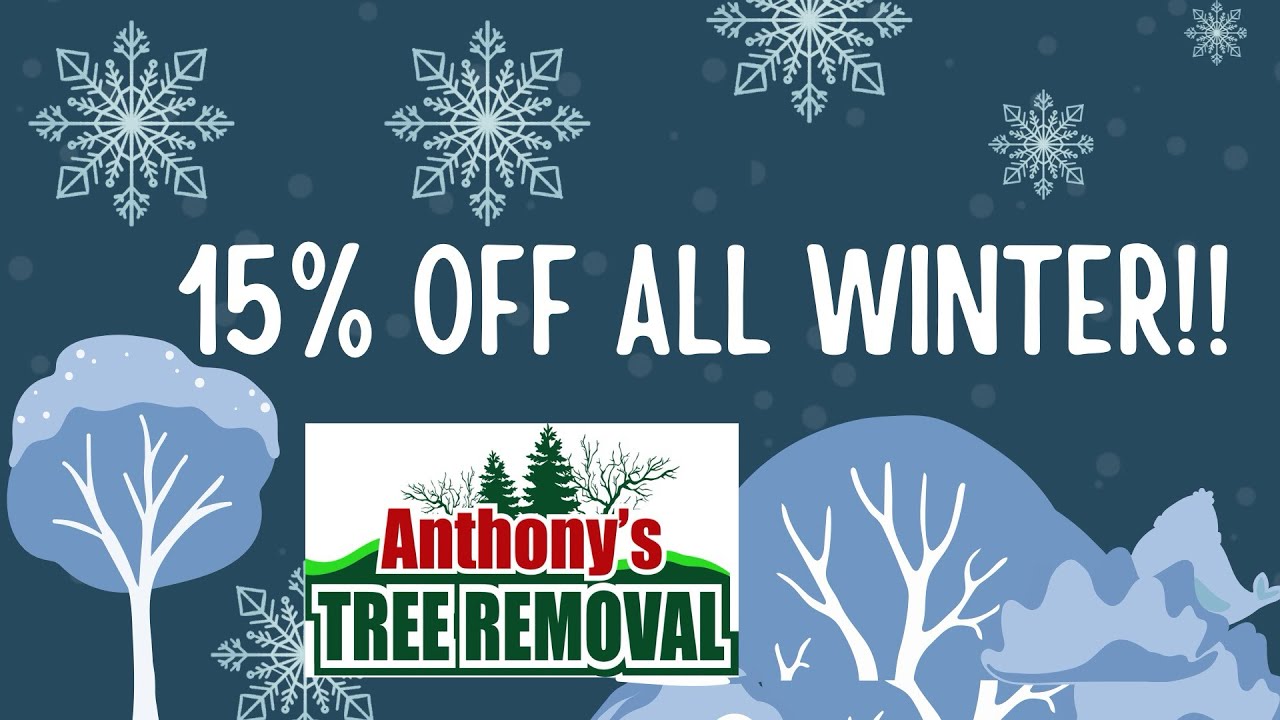 Affordable Tree Removal in Bloomington Indiana - YouTube