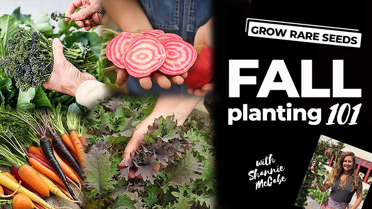 FALL GARDENING HOW-TO | Fall Planting 101 - YouTube
