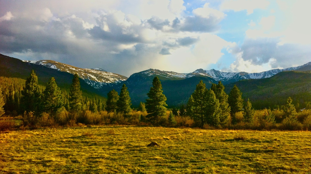 Rachel Greiner Live Stream - YouTube