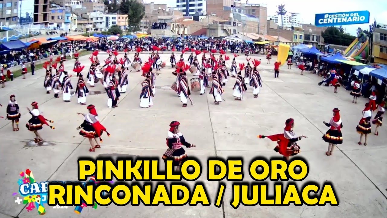 PINKILLO DE ORO JULIACA rinconada / Peru 2024 - YouTube