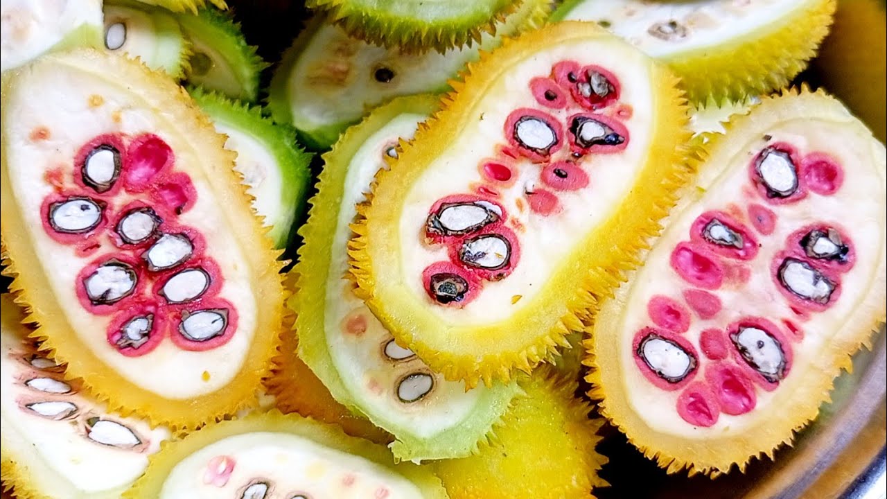 Karkol Bhaja You never seen this recipe before_How to fry spiny guard ...