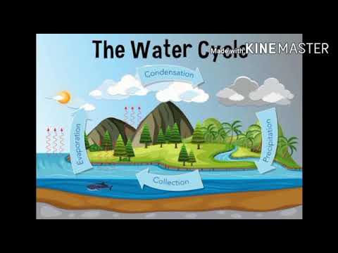 Water cycle song by DAVKNG - YouTube