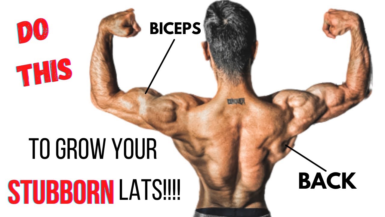 BACK WORKOUT : MUSCLE GROWTH BACK WORKOUT - YouTube