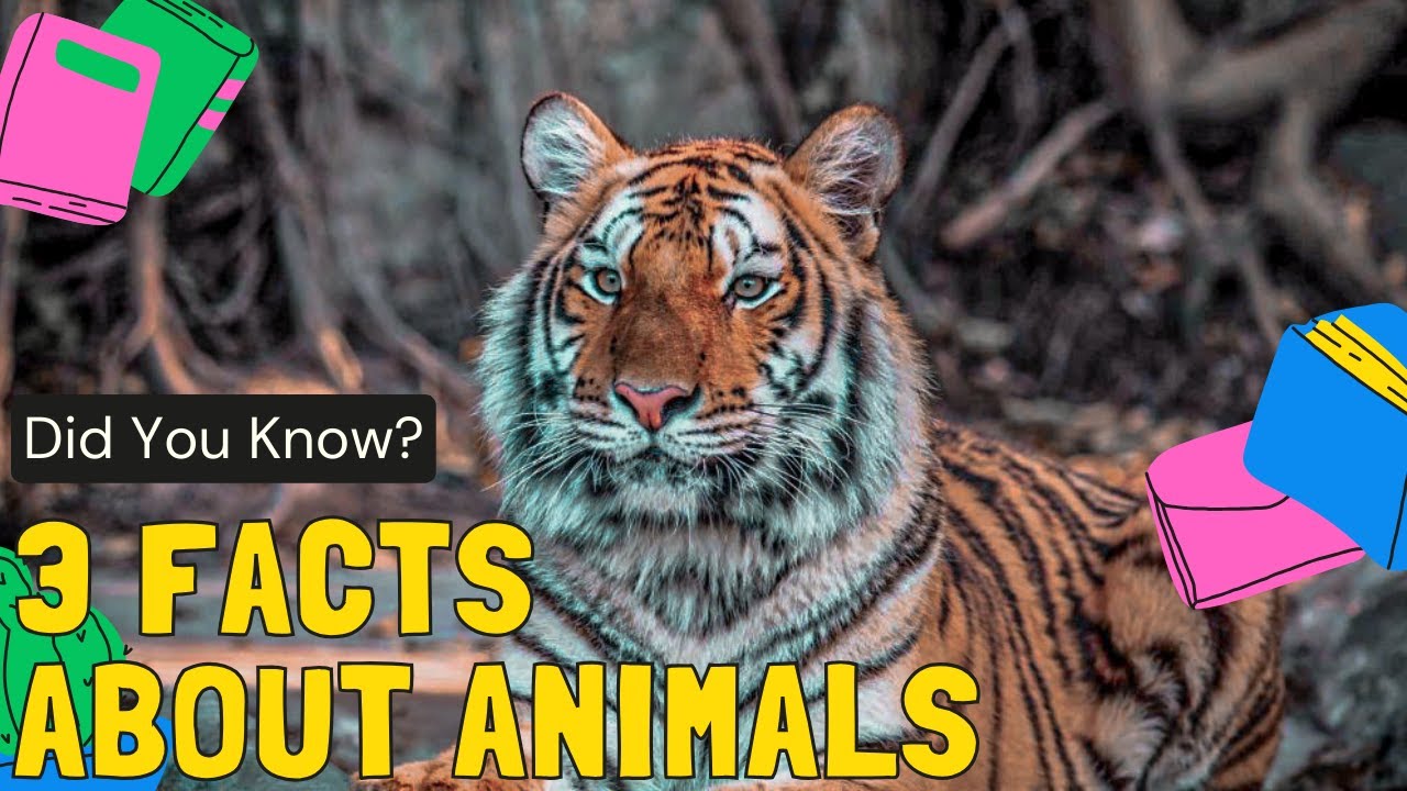 Top 3 Amazing Animal Facts - YouTube