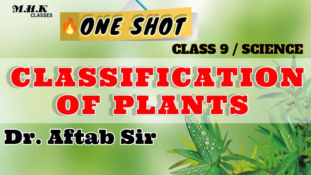 classification of plants class 9 one shot | Class 9 | Chapter 1 ...