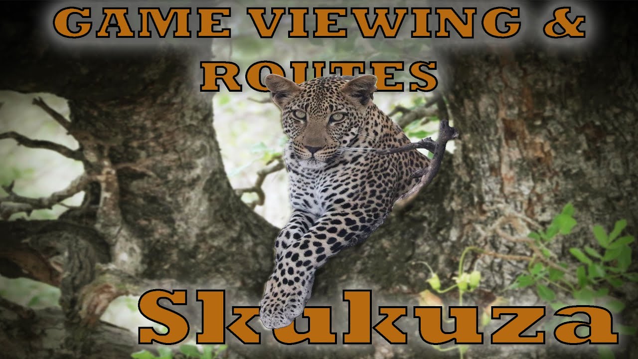 Skukuza Rest Camp: Game viewing and Routes | Kruger National Park - YouTube