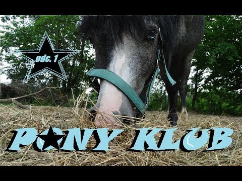 PONY KLUB #1 - pierwsze konie za płoty || kulisy serialu ||Mgiełka||