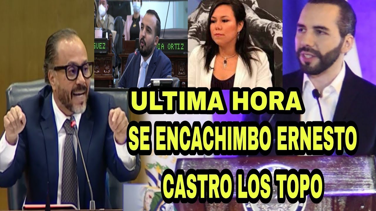 JUE PUCHICA ERNESTO CASTRO LES DIJO SUS BABOSADAS ALOS ARENERO Y LOS ...