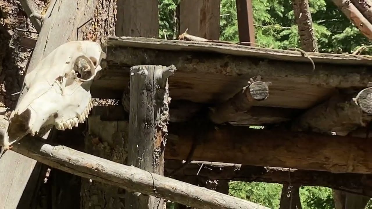 THIRD SEARCH FOR JIM SHADID MISSING PERSON IN DURANGO COLORADO TOWARDS ...