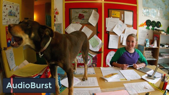 6 Ways Classroom Pets Are Good For Kids - YouTube