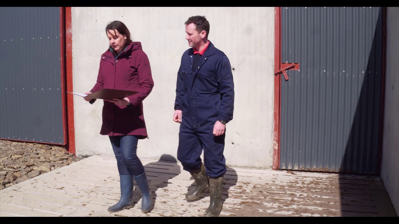 Paraic Keenan, Suckler cow farmer, Shantonagh, Co Monaghan - YouTube