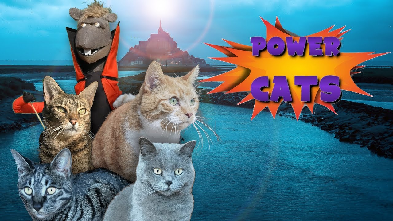 POWER CATS: THEATRICAL TRAILER | Cat Avengers Assemble | Cartoon Cat ...