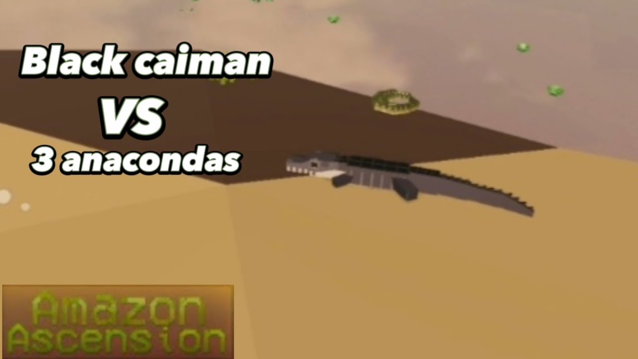 Black caiman vs 3 anacondas! (amazon ascension) - YouTube