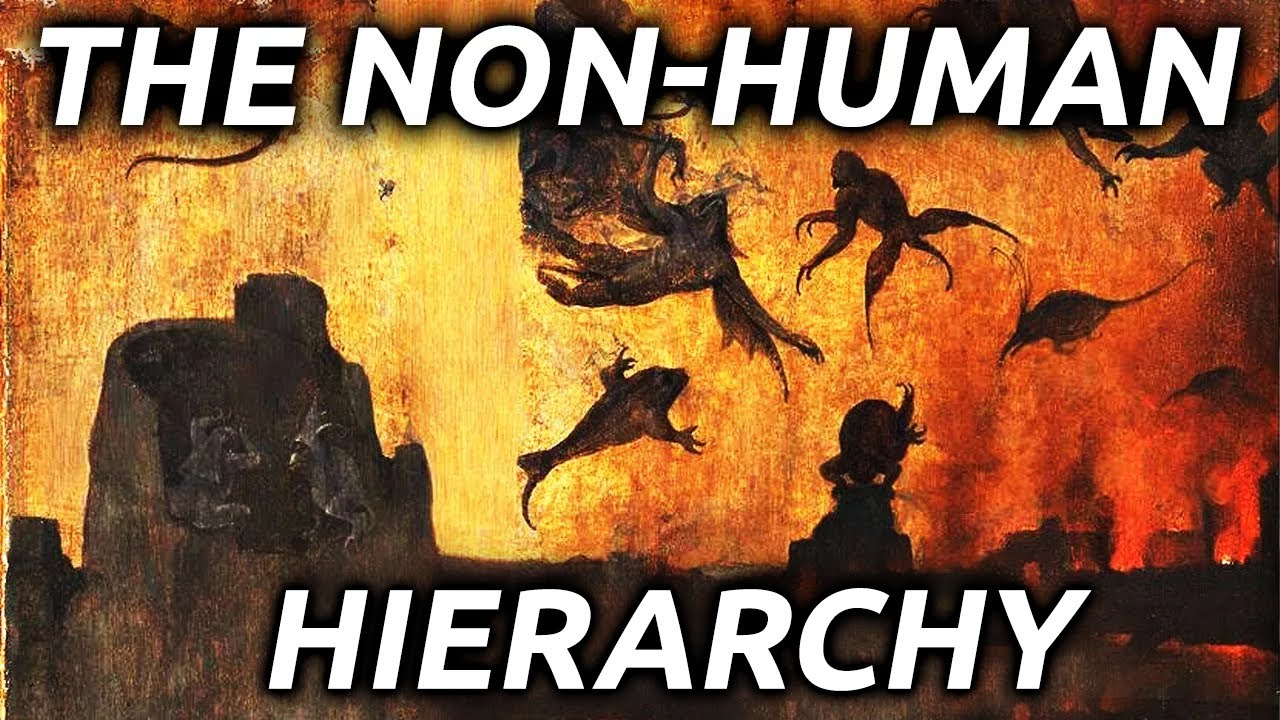 The Non-Human Hierarchy | Doug Van Dorn - YouTube