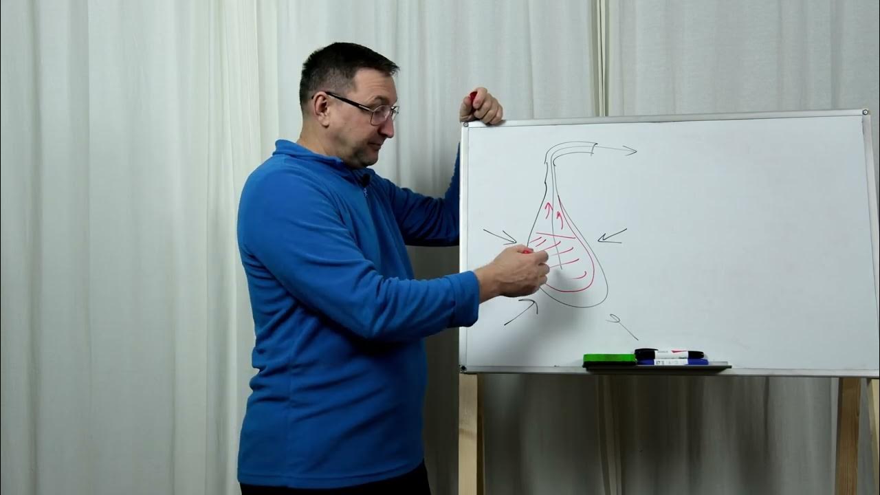 Почему образуются камни в желчном пузыре Youtube
