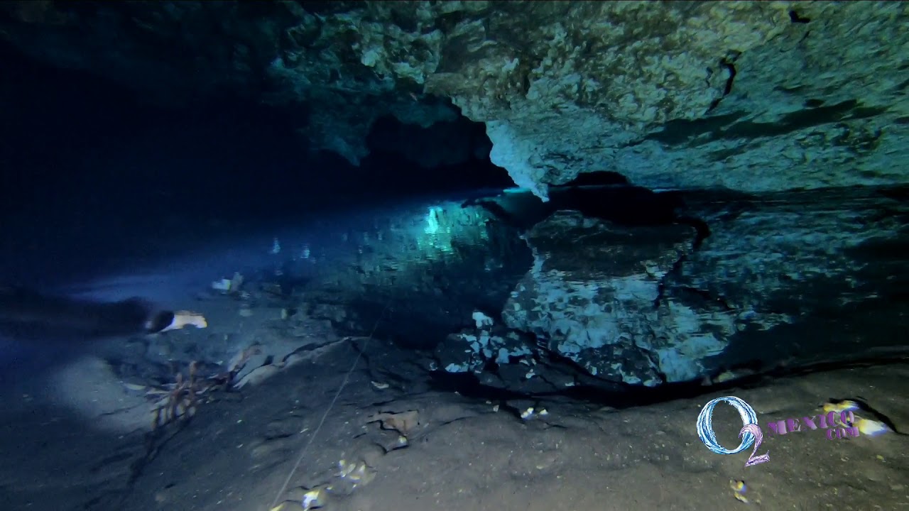 L'halocline en plongee speleo en Cenotes - YouTube