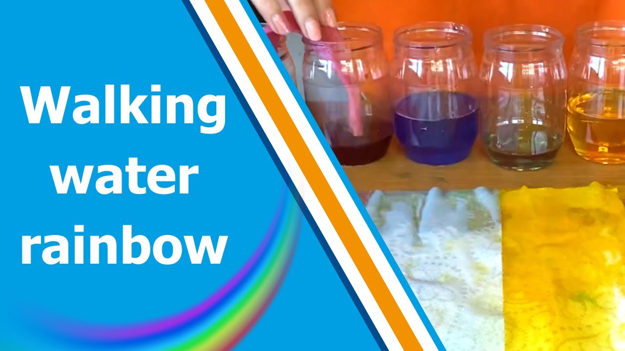 Walking water rainbow experiment - YouTube