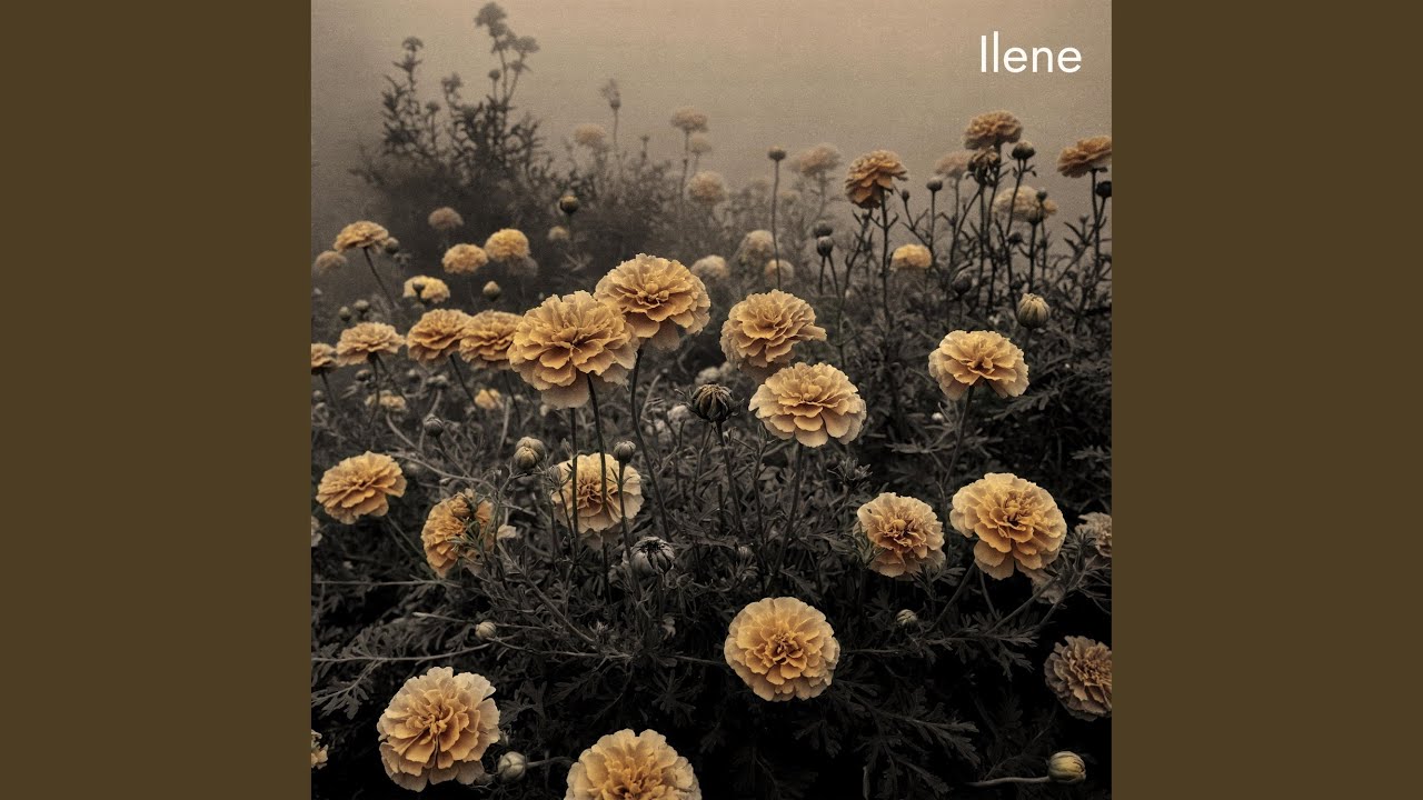 Ilene - YouTube