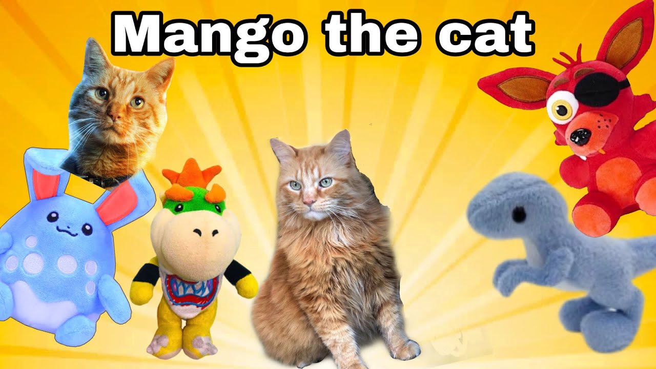 Sbc Short Mango the cat - YouTube