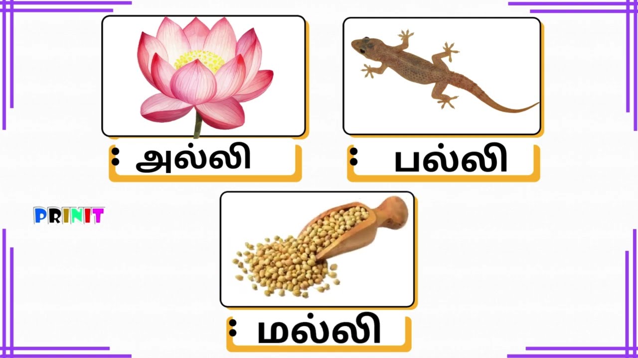 ஒத்த ஓசையுடைய சொற்கள் |Learn Rhyming words in Tamil for kids and ...