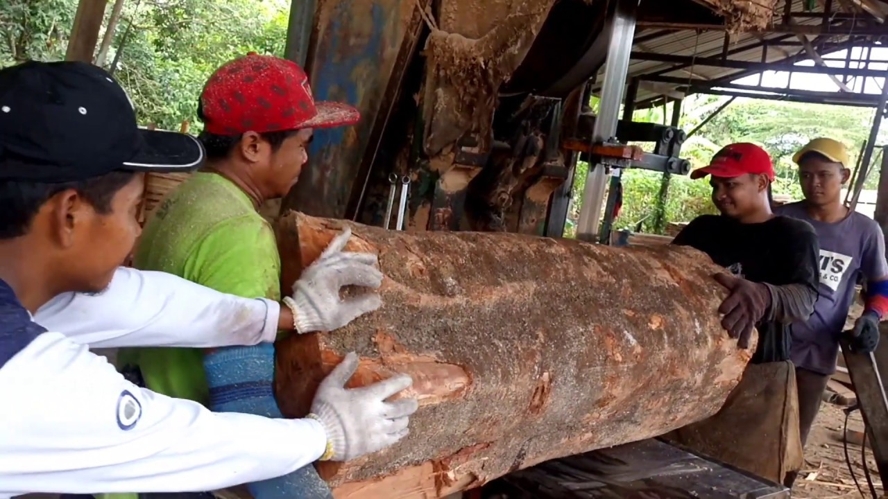 Sawmill, super jumbo... Keras ny kayu rambutan - YouTube