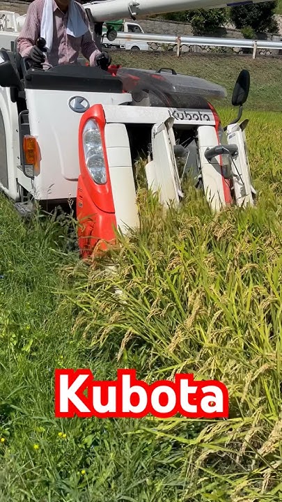 Kubota ER338 クボタの3条38馬力コンバインで刈り取りSTAR - YouTube