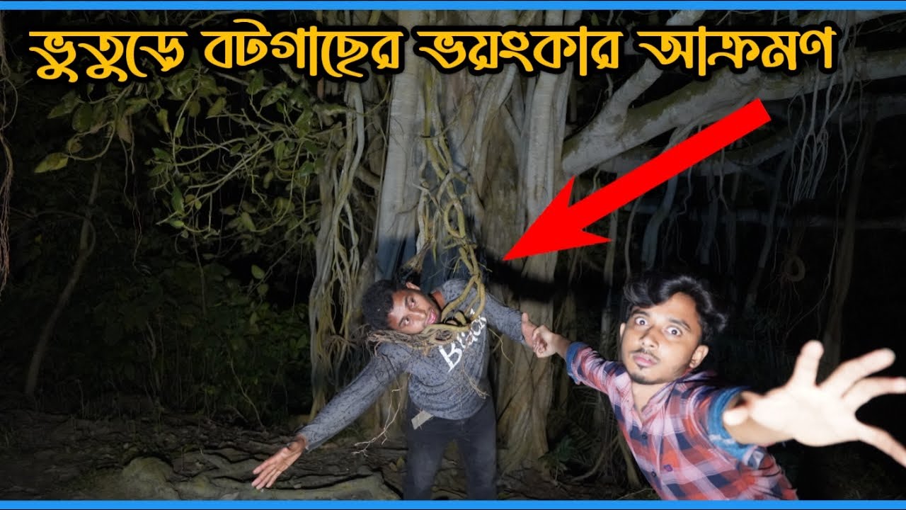 ভুতুড়ে বটগাছের ভয়ঙ্কর কর্মকাণ্ড || Activities Of The Ghostly Banyan ...