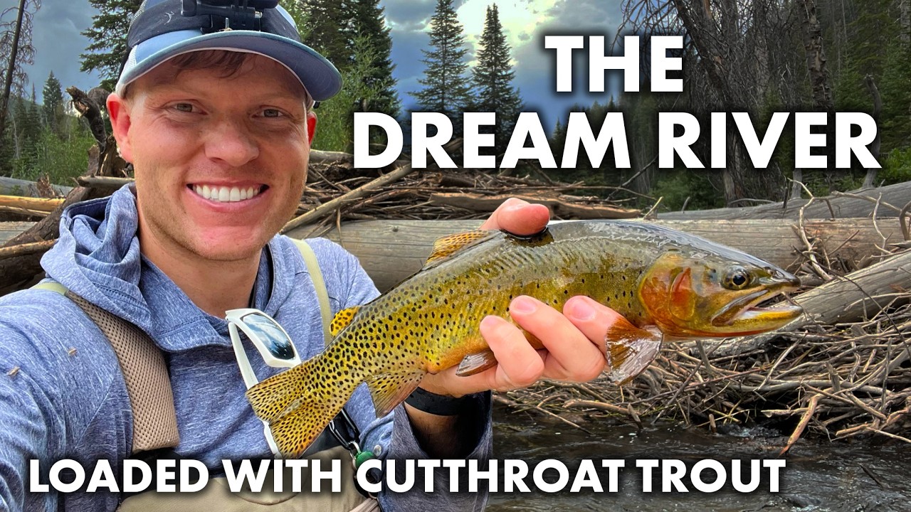Opening Day on the Dream River! - Colorado River Cutthroat in Utah ...