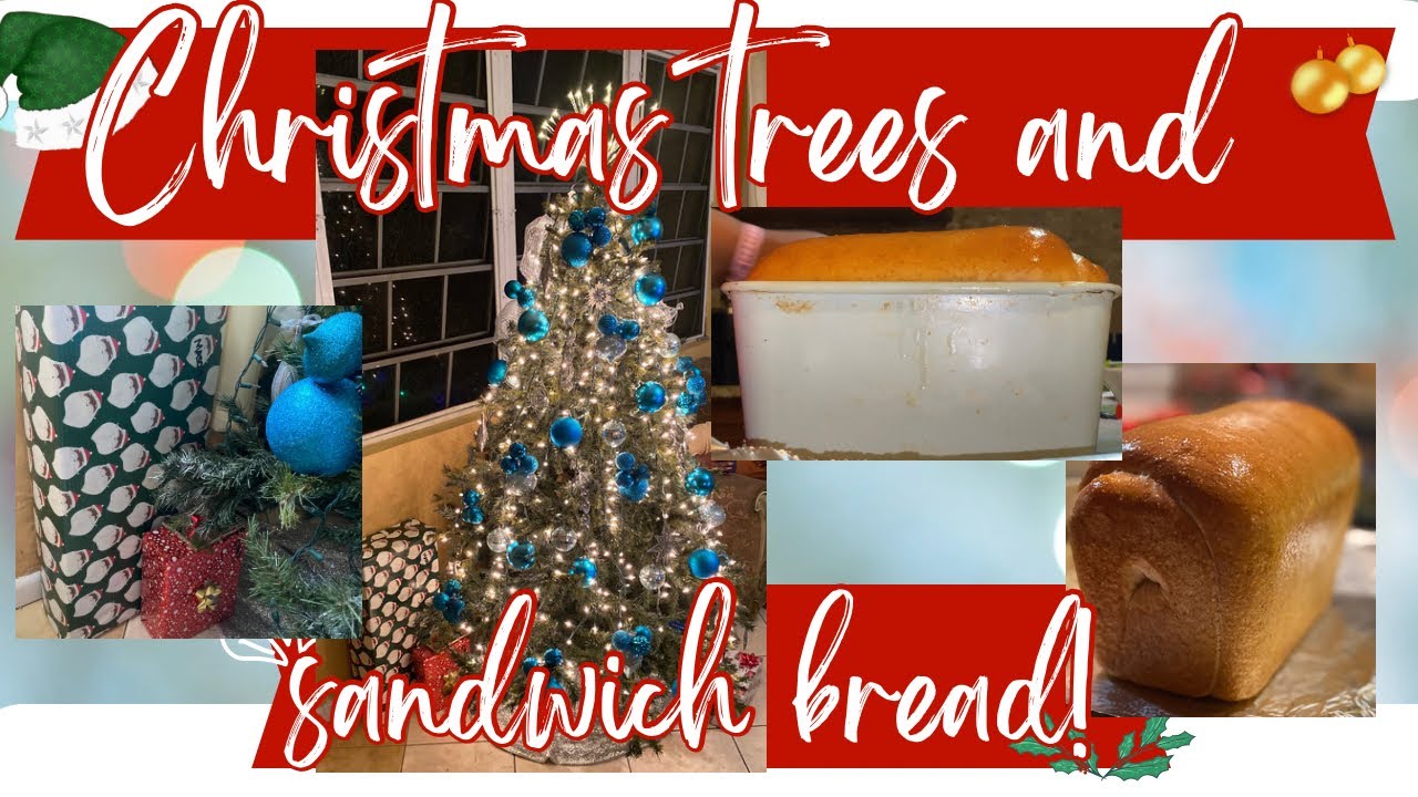 Setting up our Christmas tree! 12 days of Christmas | Marisha Veneish ...